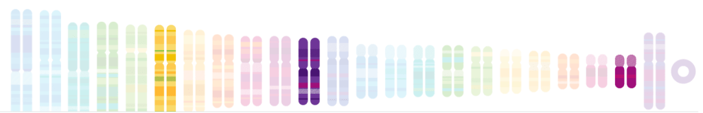 23andMe DNA Test Results